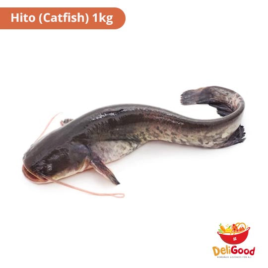 Hito (Catfish) 1kg – DeliGoodPH